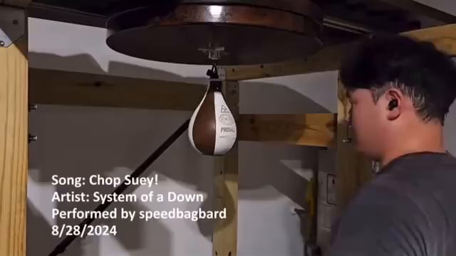 Sang: Chop Suey! I Artist: System of a Down Porformed by speedbaghard ...