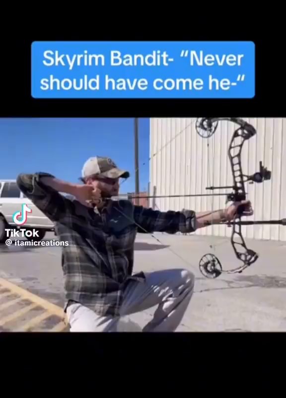 Skyrim Bandit- "Never should have come he-" cf Tik Tok iramicreations ...