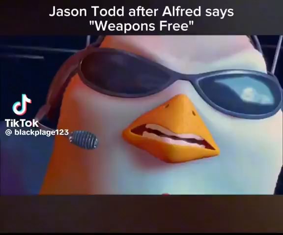 Jason Todd after Alfred says "Weapons Free" TikToK. - iFunny