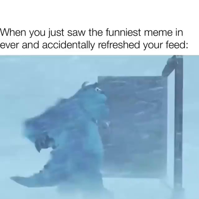 When you just saw the funniest meme in ever and accidentally refreshed ...