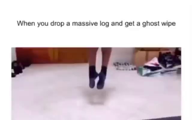 When you drop a massive log and get a ghost wipe - iFunny