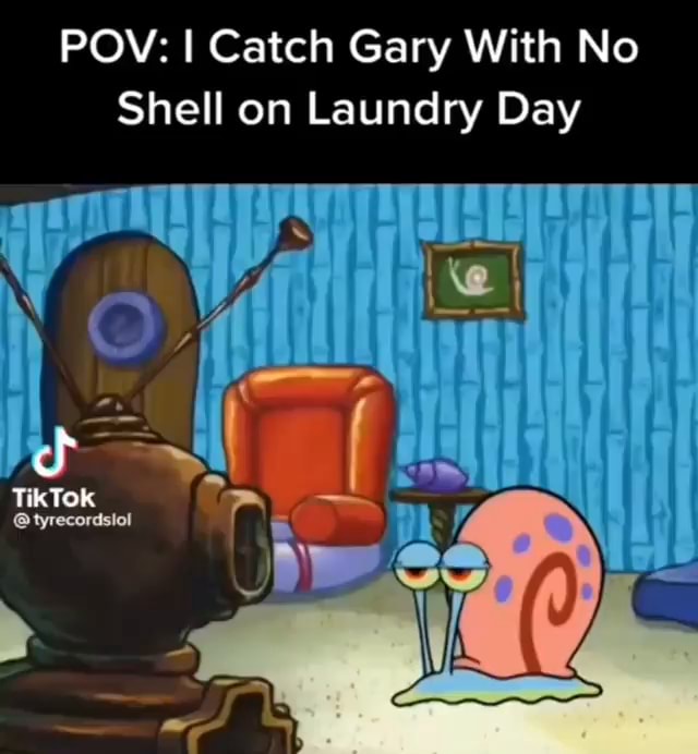POY: I Catch Gary With No Shell on Laundry Day - iFunny