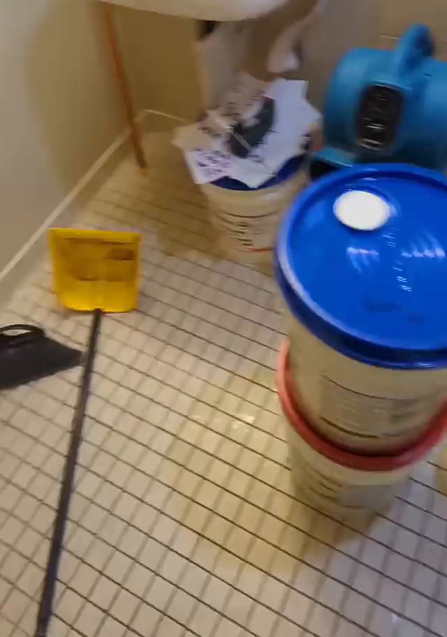 Video memes qzAEFtR2C by Blistered_Hawg - iFunny