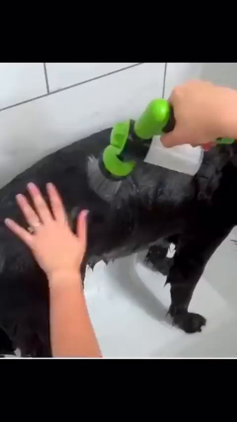 🐾 Introducing the Pup Jet - The Ultimate Dog Bathing Experience! 🚿 ...