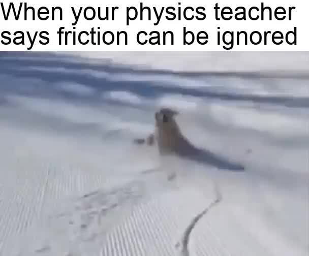 Hen your physics teacher says friction can be ignored - iFunny