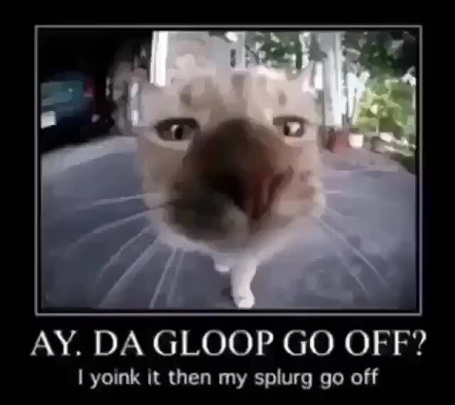 AY. DA GLOOP GO OFF? E yoink it then my splurg go off - iFunny