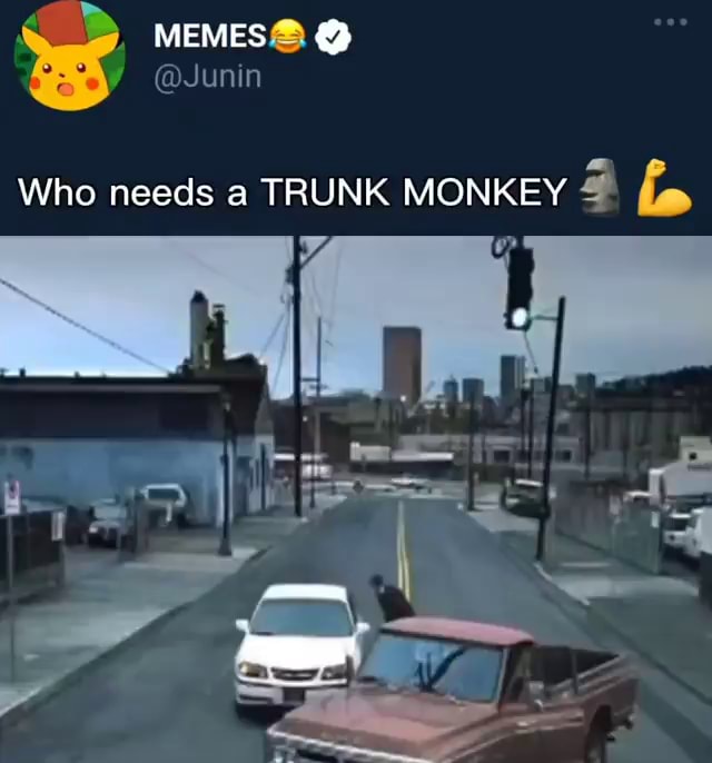 MEMES @dJunin Who needs a TRUNK MONKEY - iFunny