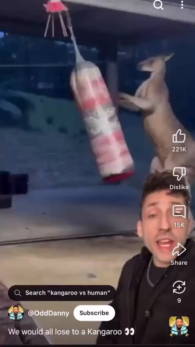 229K Dislike Search "kangaroo vs human" We would ali lose to Kangaroo ...