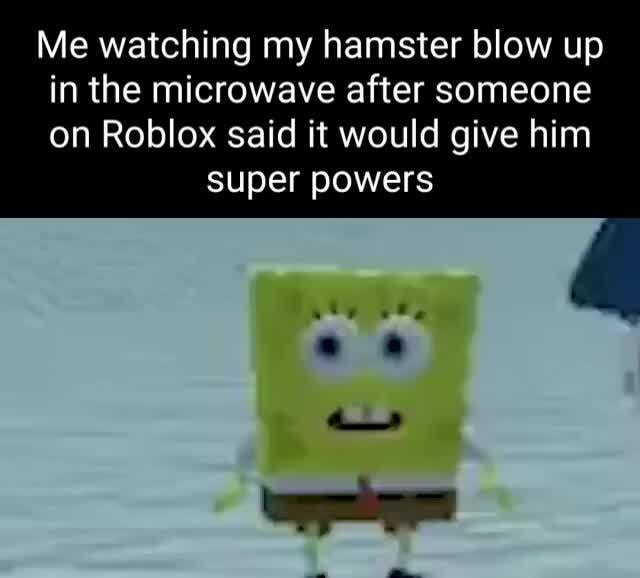 Me watching my hamster blow up in the microwave after someone on Roblox ...