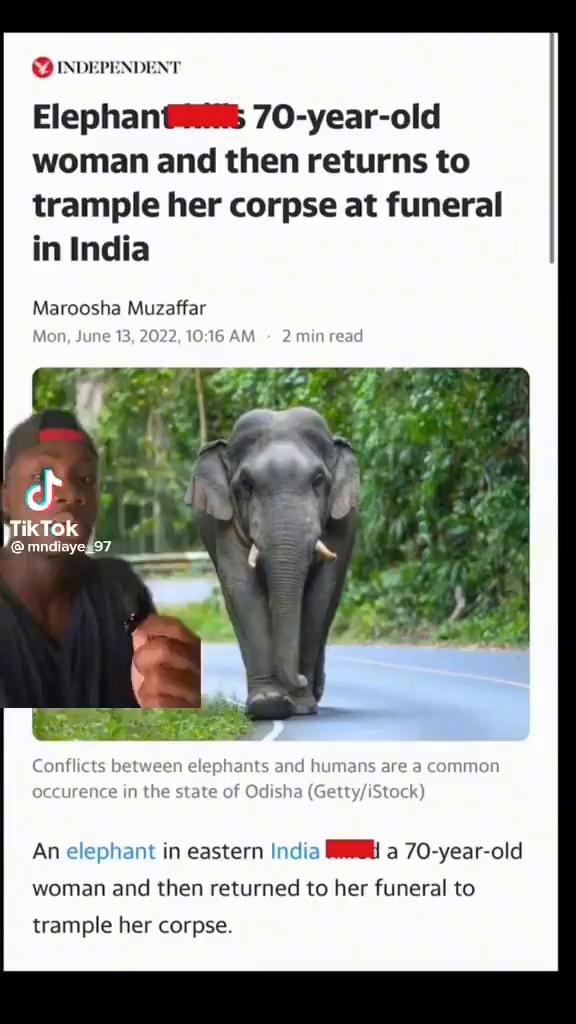 More on the Elephant in India Story - @ INDEPENDENT 70-year-old ...
