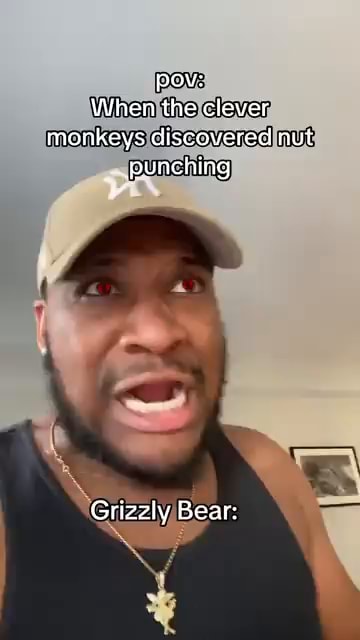 Pov: When the clever monkeys discovered nut punching) Griz2ly Bear ...