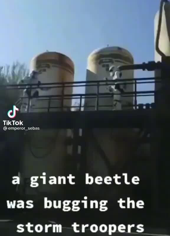 Cf TikTok @emperor_sebas a giant beetle was bugging the etarm trannerc ...