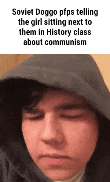 Soviet Doggo pfps telling the girl sitting next to them in History ...