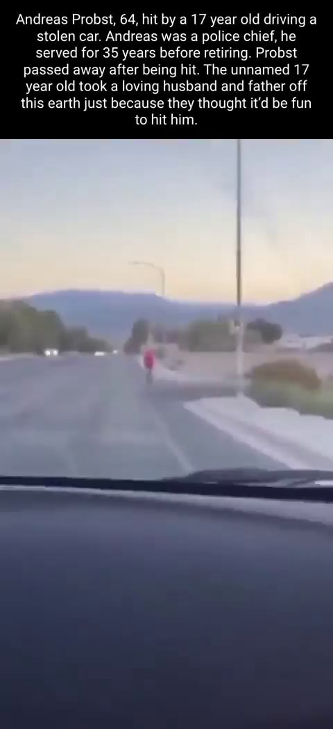 Andreas Probst, 64, hit by a 17 year old driving a stolen car. as was a ...