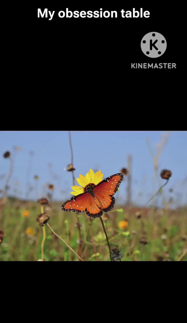 My obsession table KINEMASTER - iFunny