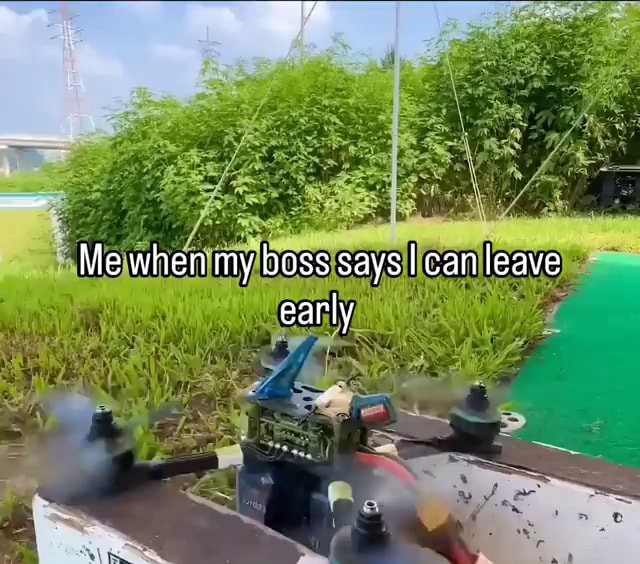 Me when my boss says I can leave early - iFunny