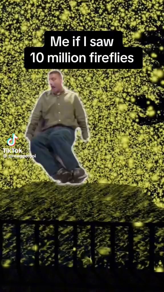 Me if I saw 10 million fireflies TikTok sirnuggetner - iFunny