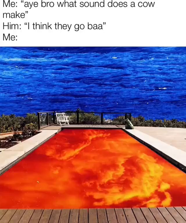 Me: "aye bro what sound does a cow make" Him: "I think they go baa" Me ...