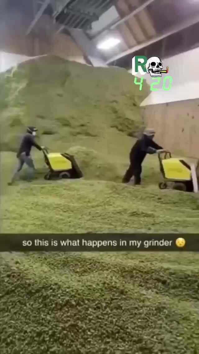 So this is what happens in my grinder - iFunny