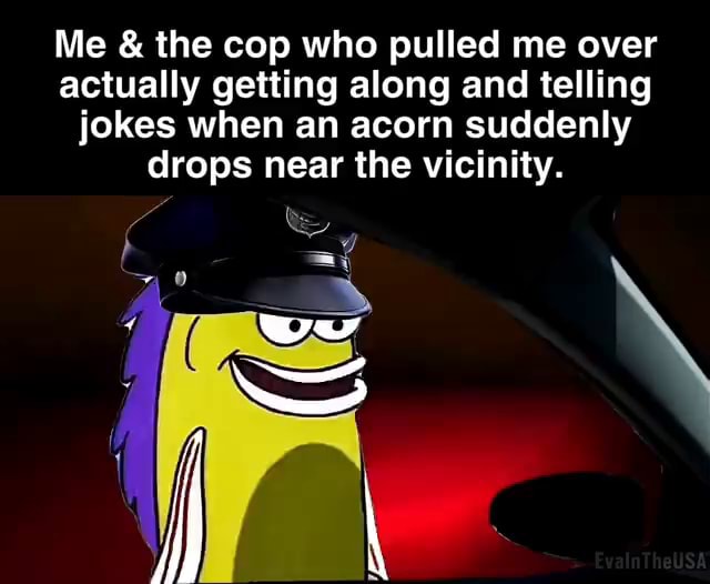 Me & the cop who pulled me over actually getting along and telling ...