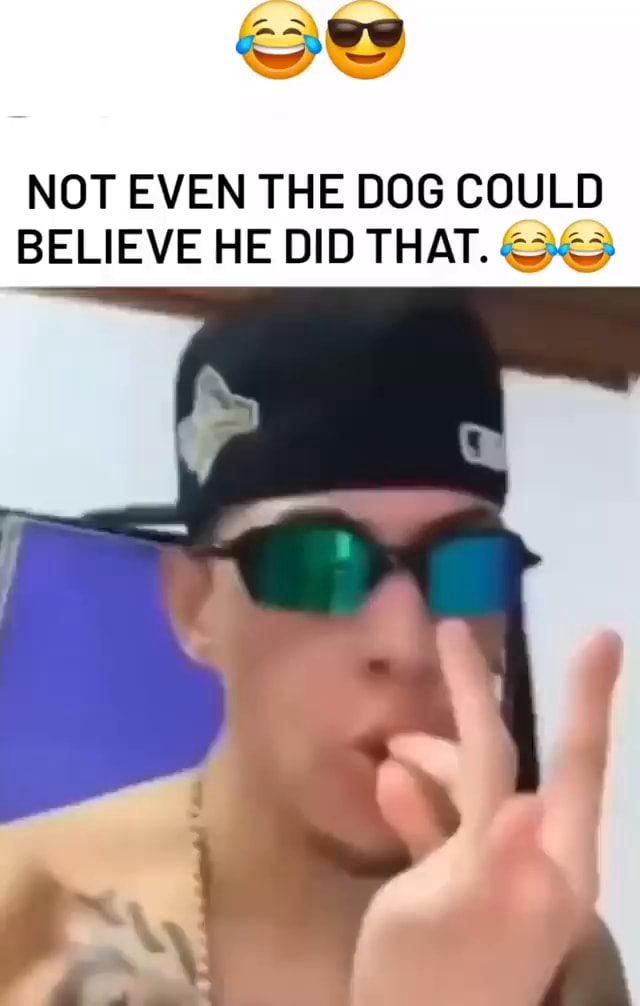 Rds NOT EVEN THE DOG COULD BELIEVE HE DID THAT. - iFunny