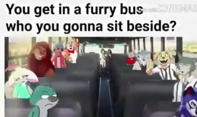 You get in a furry bus who you gonna sit beside? - iFunny Brazil