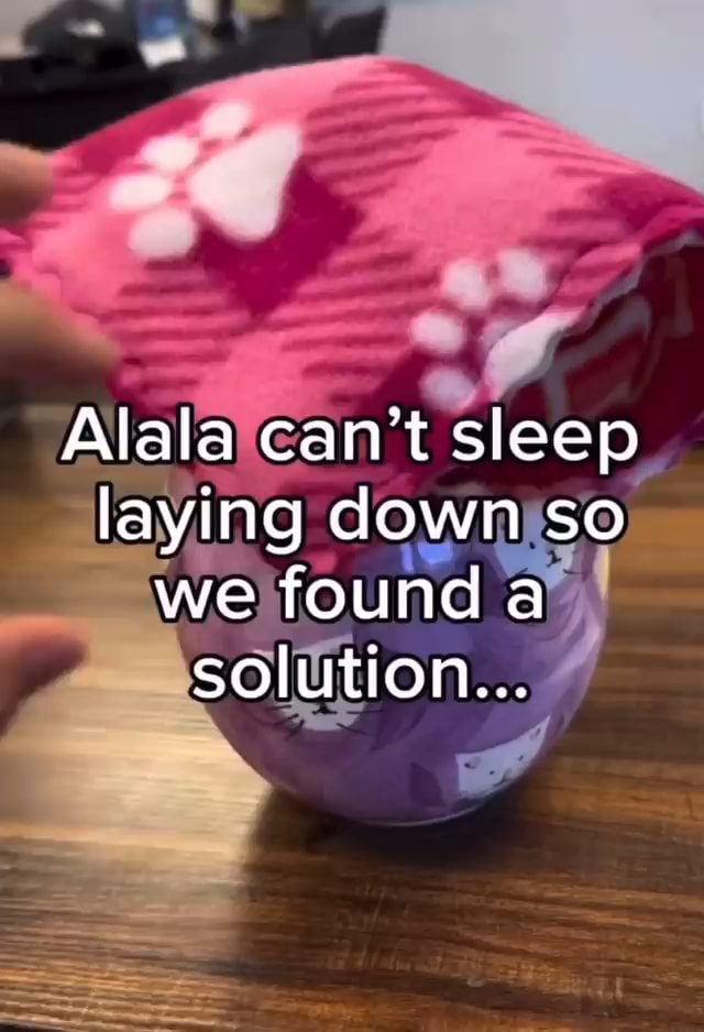Alala can't sleep laying down so we found a solution... - iFunny