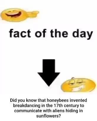 Fact of the day Did you know that honeybees invented breakdancing in ...