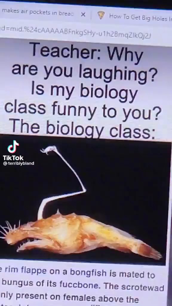 Ur Teacher: Why are you laughing? Is my biology Class funny to you? The ...