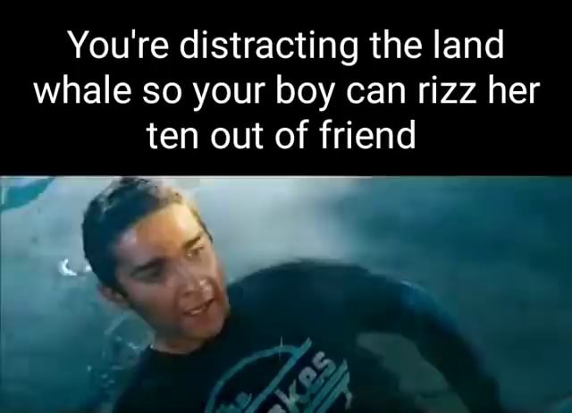 You're distracting the land whale so your boy can rizz her ten out of ...