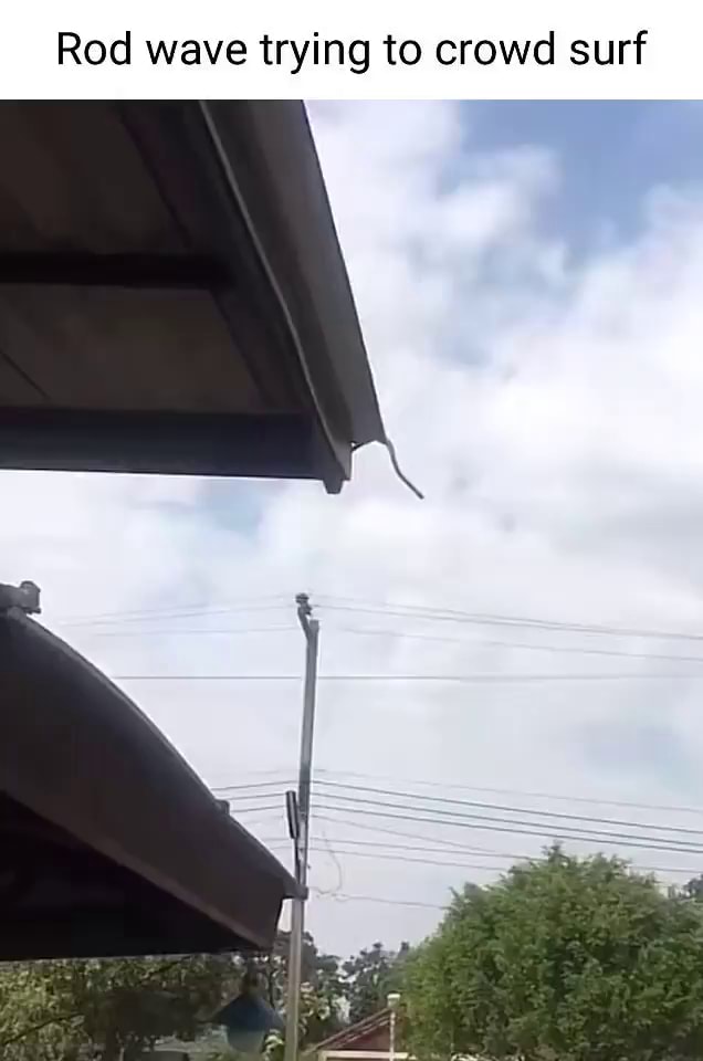 Rod wave trying to crowd surf - iFunny