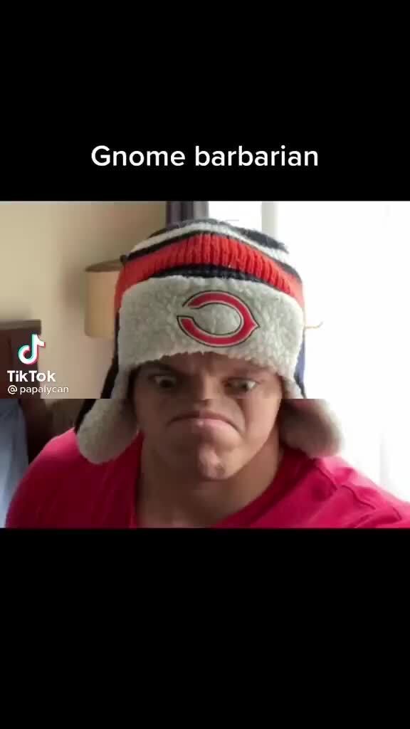 Gnome barbarian cf Tik ToK. - iFunny