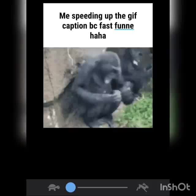 Me speeding up the gif caption be fast funne haha - iFunny