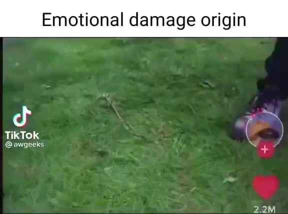 Emotional damage origin cf TikTok - iFunny