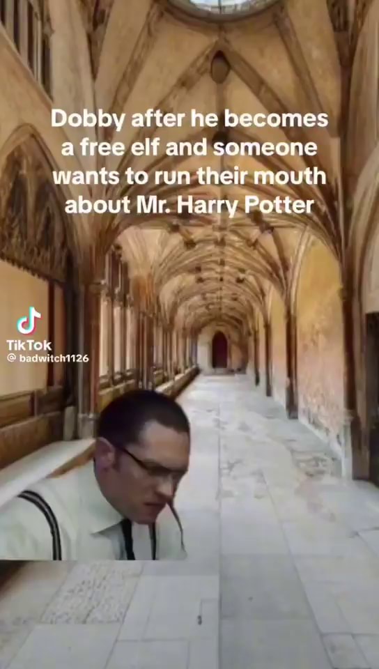 Dobby after he becomes a free elf and someone wants to run thein mouth ...