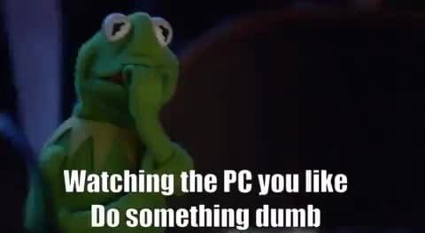 #dnd #kermit #dungeonsanddragons #dungeonsandchill - Watching the PC ...