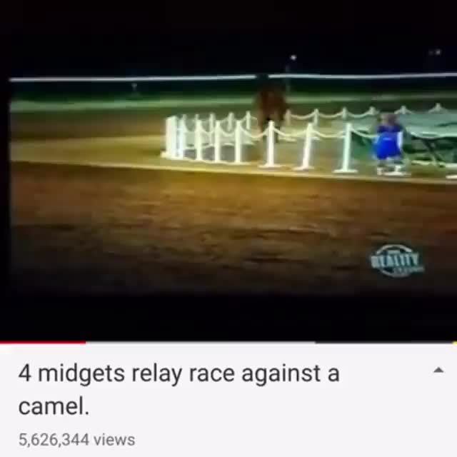 4 midgets relay race against a camel. - iFunny