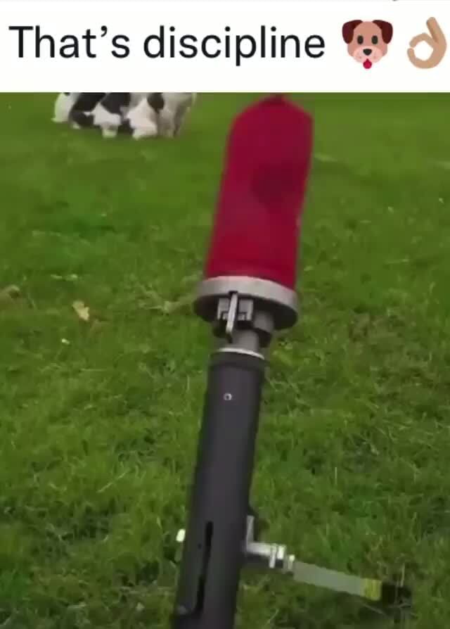 That's discipline - iFunny