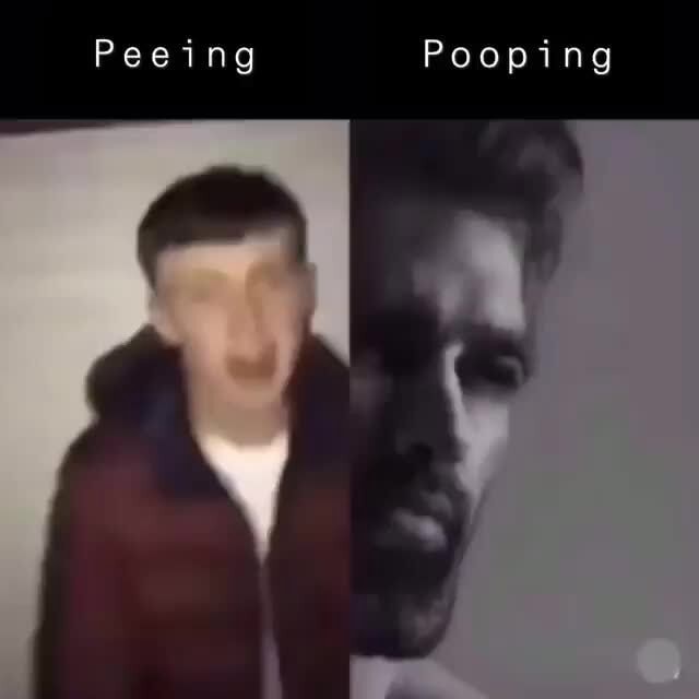 Peeing Pooping - iFunny