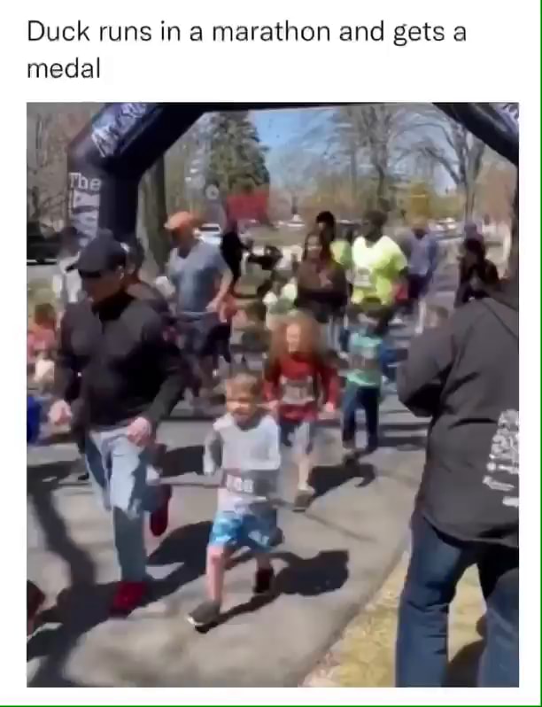 Duck runs in a marathon and gets a medal - iFunny