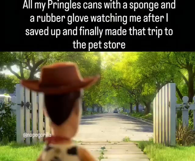 All my Pringles cans with a sponge and arubber glove watching me after ...