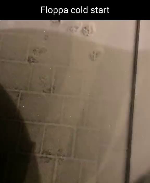 Floppa cold start - iFunny