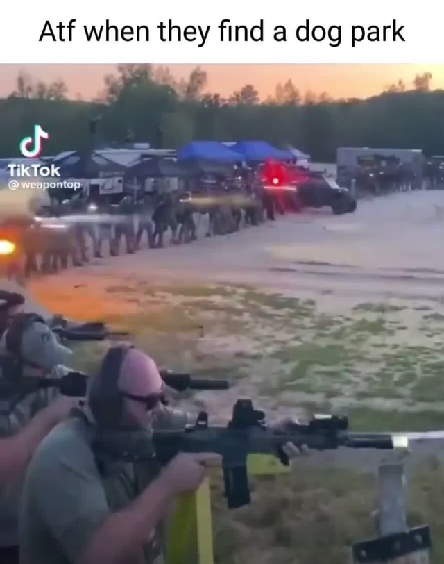 Atf when they find a dog park TIKTOR - iFunny