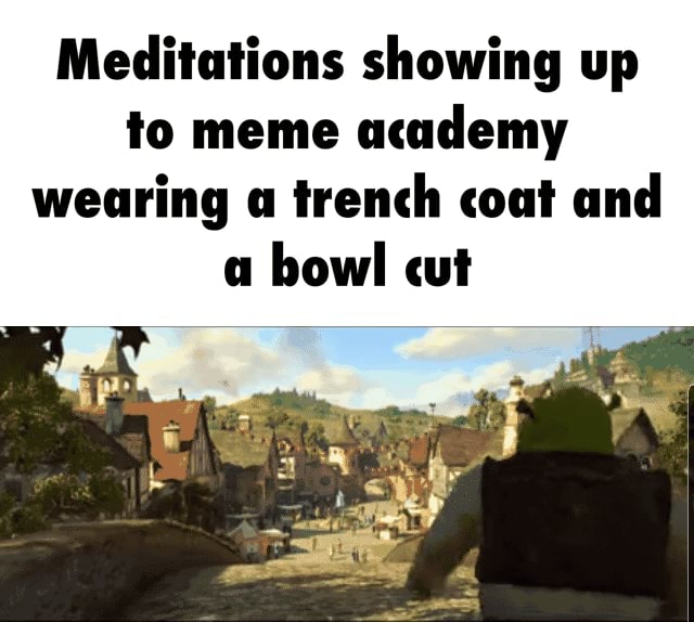 Meditations showing up to meme academy wearing a trench coat and a bowl ...