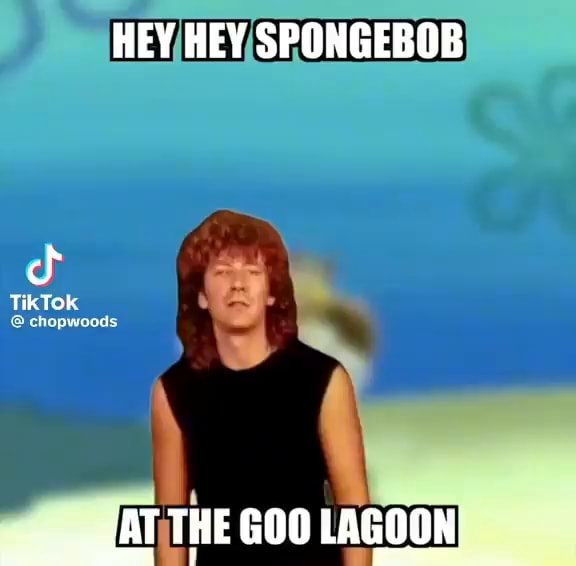 HEY HEY SPONGEBOB Tik TOK AT THE GOO LAGOON - iFunny