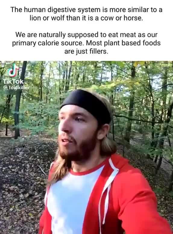 The human digestive system is more similar to a lion or wolf than it is ...