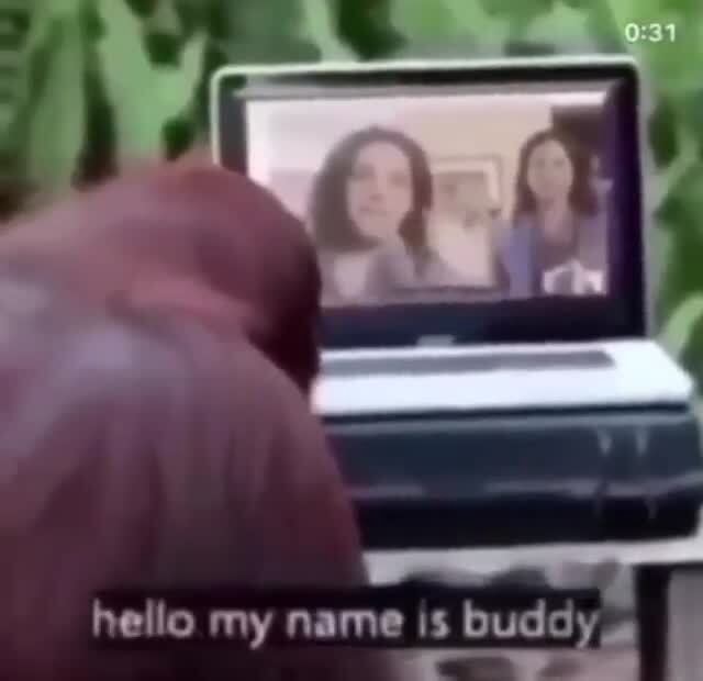 Uh oh stinky sign language 🙀 - hello my name is buddys - iFunny