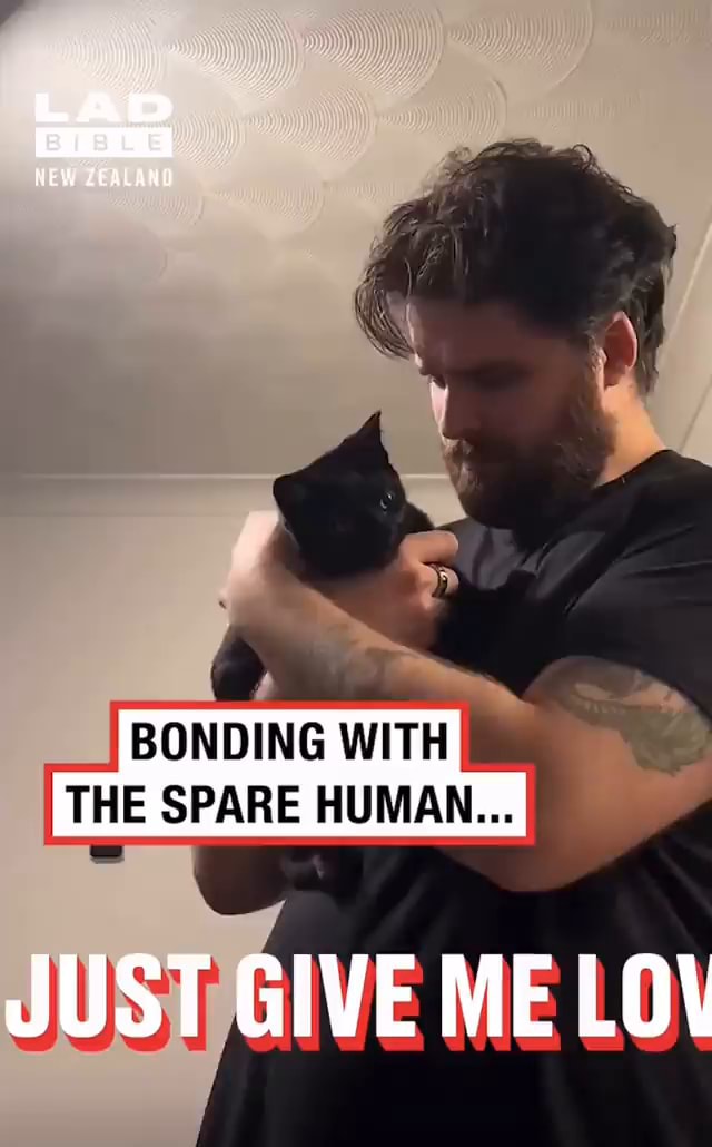 BONDING WITH THE SPARE HUMAN... JUST GIVE ME LO\ - iFunny