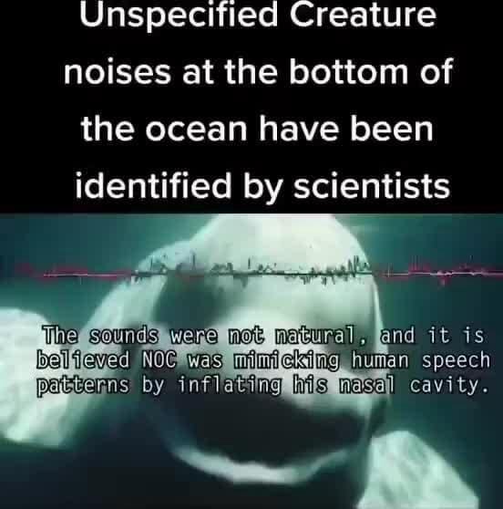 Unspecified Creature noises at the bottom of the ocean have been ...