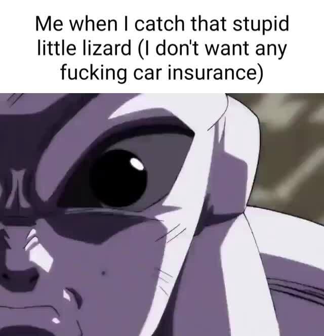 Me when I catch that stupid little lizard don't want any fucking car ...